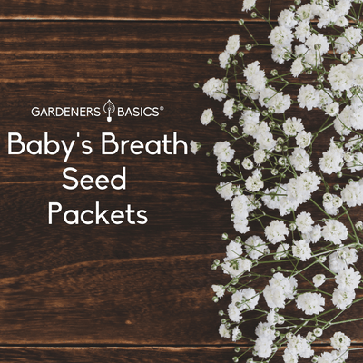 How to Grow Ace 55 Tomato From Seed: A Step-by-Step Guide – Gardeners ...