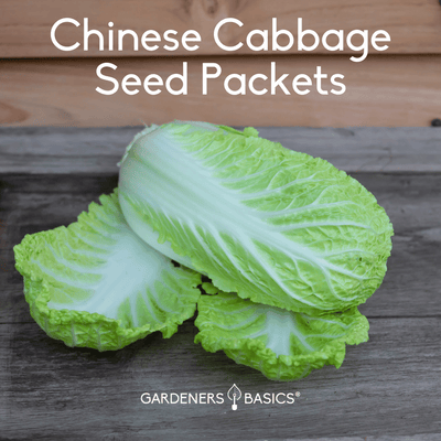 How Does Crop Rotation Improve Soil Fertility – Gardeners Basics