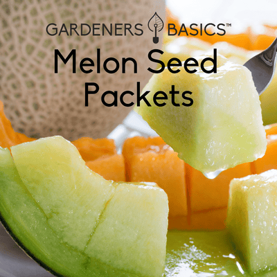 Heirloom Seeds & Survival Seed Vault Kits | Gardeners Basics
