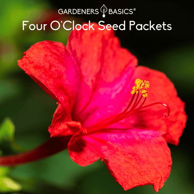 How Does Crop Rotation Improve Soil Fertility – Gardeners Basics