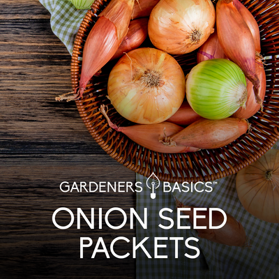 How Does Crop Rotation Improve Soil Fertility – Gardeners Basics