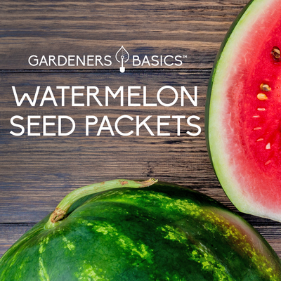 How To Grow Beets From Seeds - A Complete Guide – Gardeners Basics