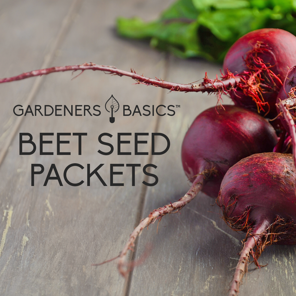 Beet Seeds for Planting: Tips Tricks & Expert Advice for Growing Beets ...