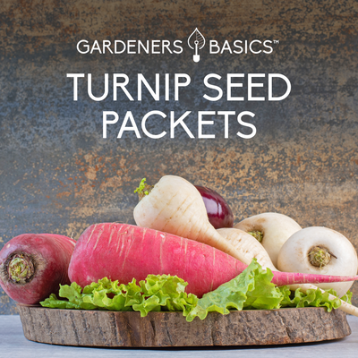 How Does Crop Rotation Improve Soil Fertility – Gardeners Basics