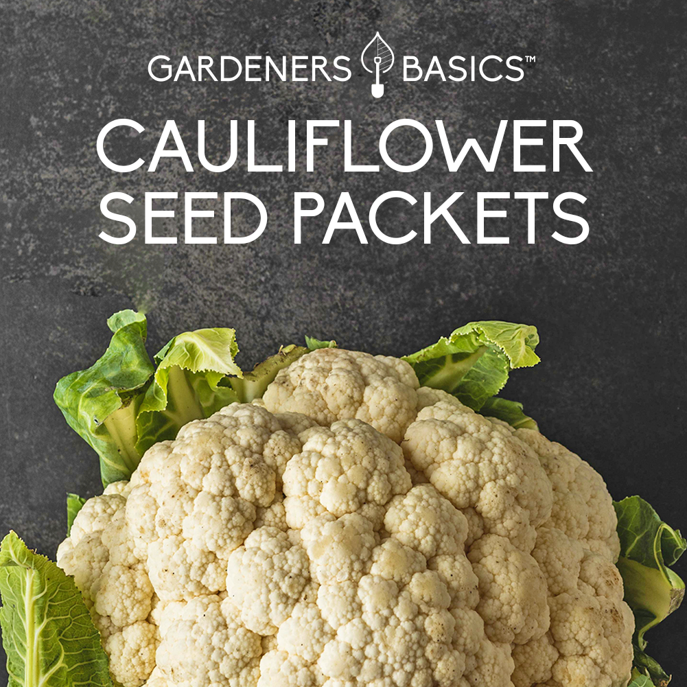 Cauliflower Seeds for Planting - Create Your Own Nutritious Garden ...