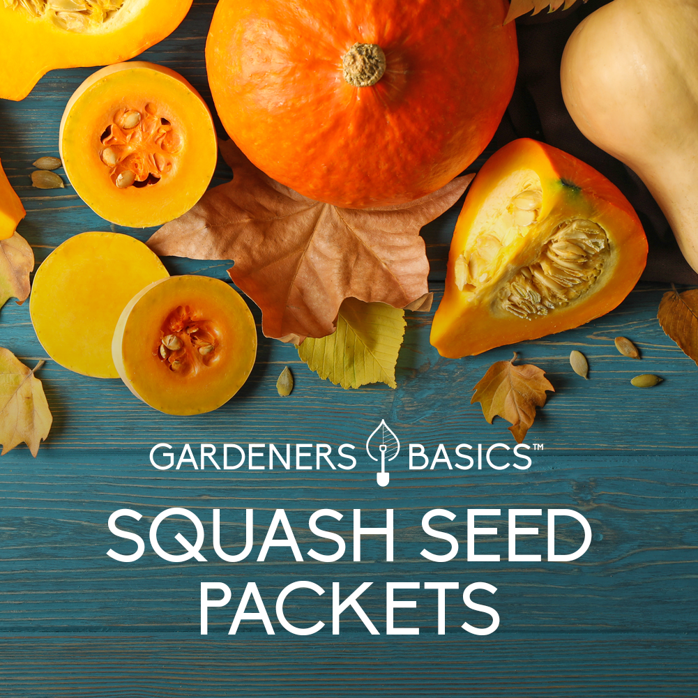 Squash Seeds for Sale: A Comprehensive Selection for Home Gardeners ...