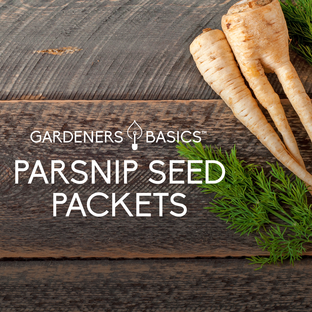 Parsnip Seeds for Planting Grow Delicious & Nutritious Root Vegetables ...