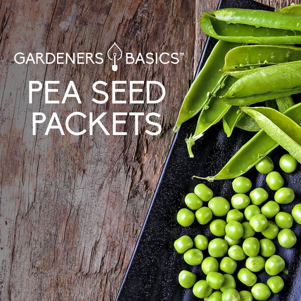 The Best Pea Seeds for Planting: A Bountiful Harvest in Your Garden ...