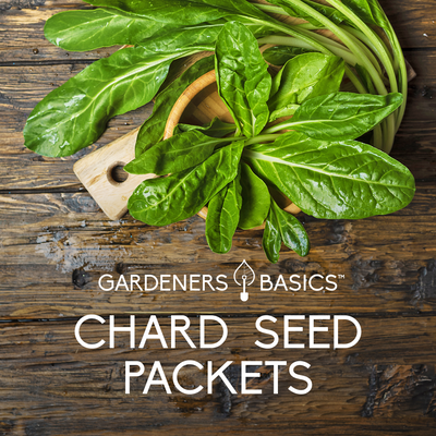 Seed Starting For Beginners - From Seed to Sprout – Gardeners Basics