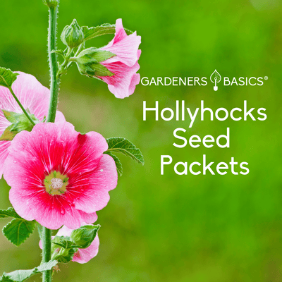 How Does Crop Rotation Improve Soil Fertility – Gardeners Basics