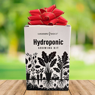 How To Grow Poppies Indoors Guide – Gardeners Basics