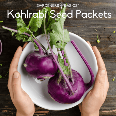 How To Grow a Seed in a Ziplock Bag – Gardeners Basics