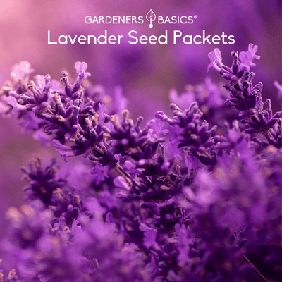 Join the Gardeners Basics Affiliate Program - Earn & Grow Together