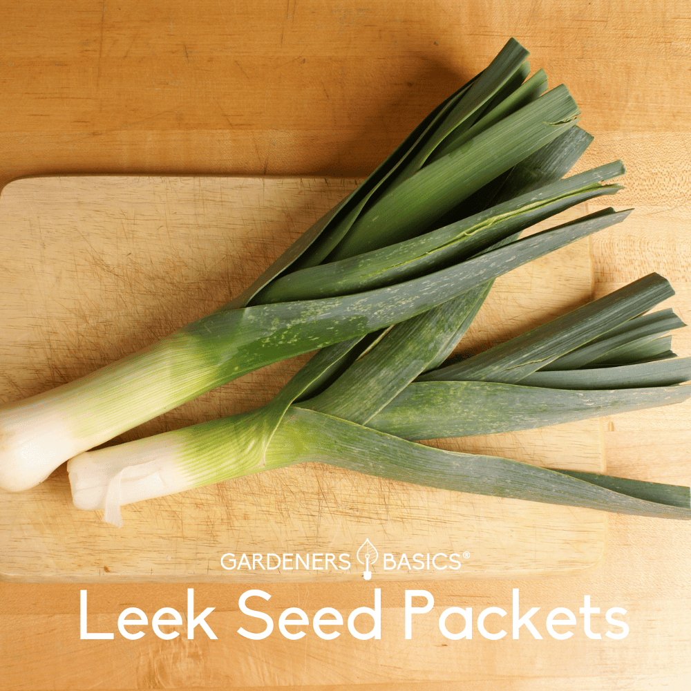 Leek Seeds 101: How to Choose, Plant, and Harvest Your Homegrown Leeks ...