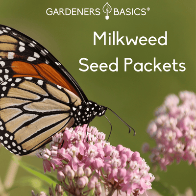 How Does Crop Rotation Improve Soil Fertility – Gardeners Basics