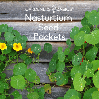 How Does Crop Rotation Improve Soil Fertility – Gardeners Basics