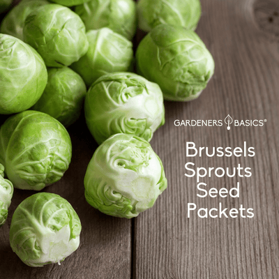 How Does Crop Rotation Improve Soil Fertility – Gardeners Basics