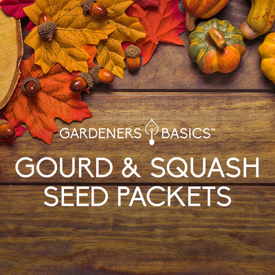 How Does Crop Rotation Improve Soil Fertility – Gardeners Basics