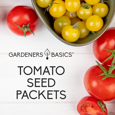 How to Grow Mortgage Lifter Tomato From Seed – Gardeners Basics