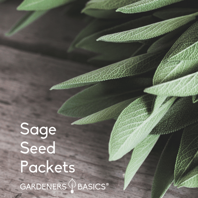 How Does Crop Rotation Improve Soil Fertility – Gardeners Basics