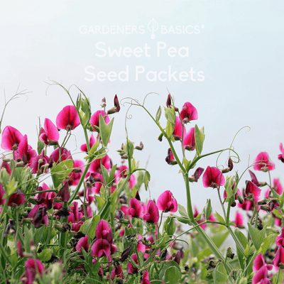 Seed Starter Kits with Heirloom Seeds | Complete Growing Kits for Easy ...