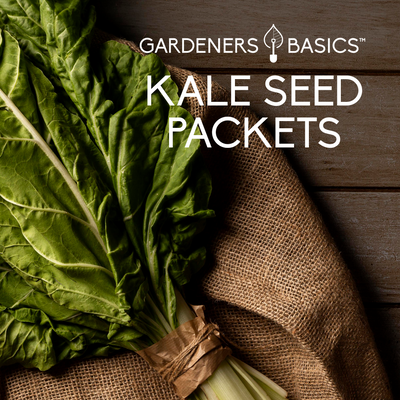 How Does Crop Rotation Improve Soil Fertility – Gardeners Basics