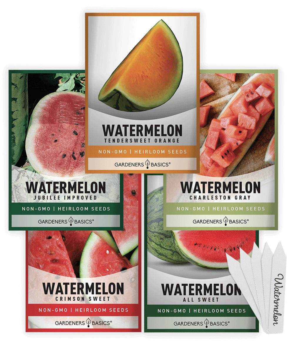Watermelon Seed Assortment - 5 Delicious, & Colorful Varieties ...