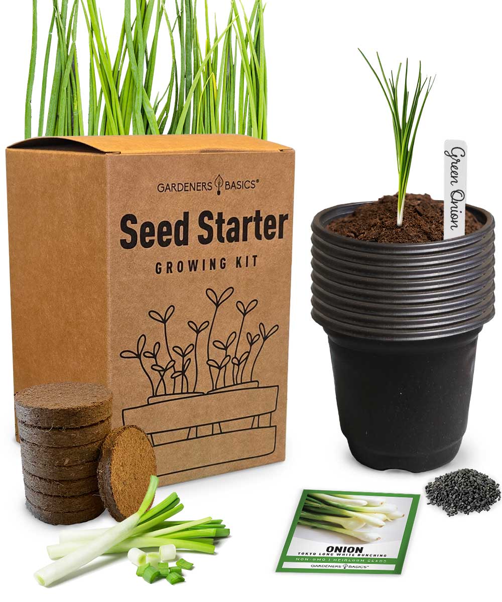 Green Onion Seed Starter Kit – Grow Fresh Tokyo Long White Bunching ...