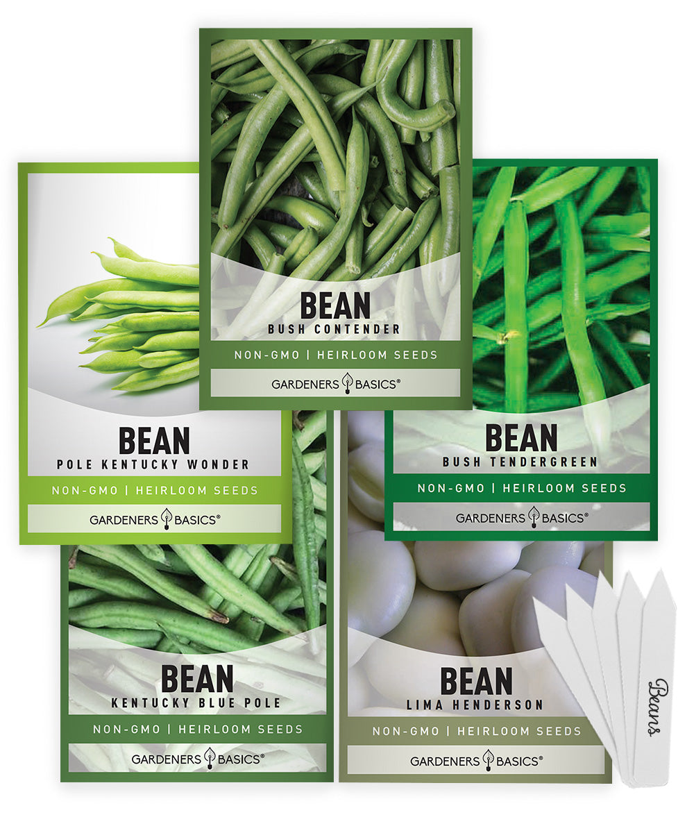 Bean Seed Assortment 5 Variety Pack for Heirloom Home Gardening ...