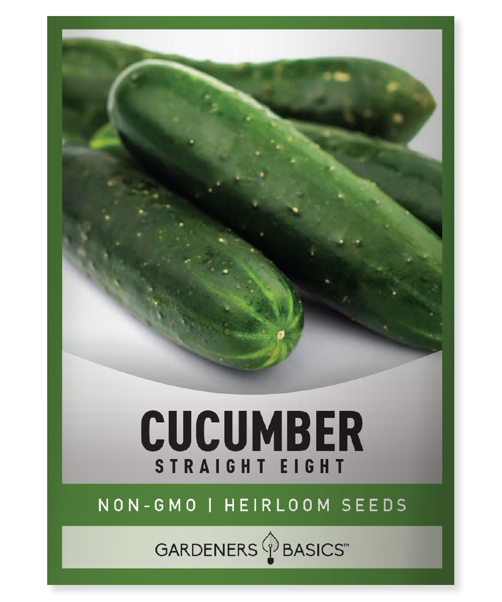Straight Eight Cucumber Seeds Grow Your Own Crisp, Delicious Cucumbers ...