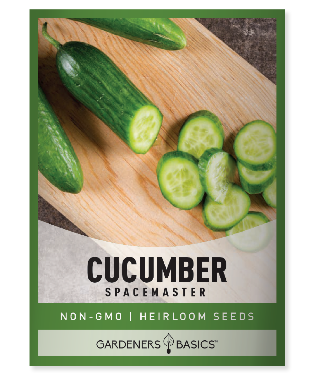 Spacemaster Cucumber Seeds: Compact & High-Yielding for Urban Gardens ...