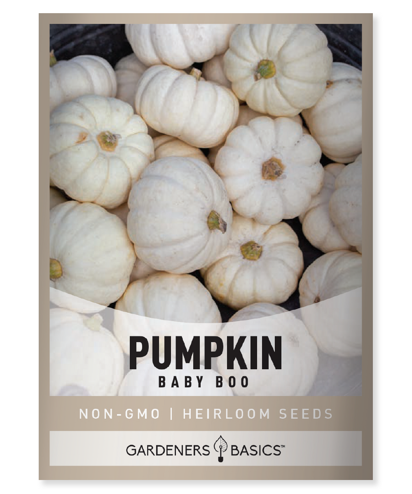 Baby Boo Pumpkin Seeds: Perfect for Small Gardens and Big Flavors ...