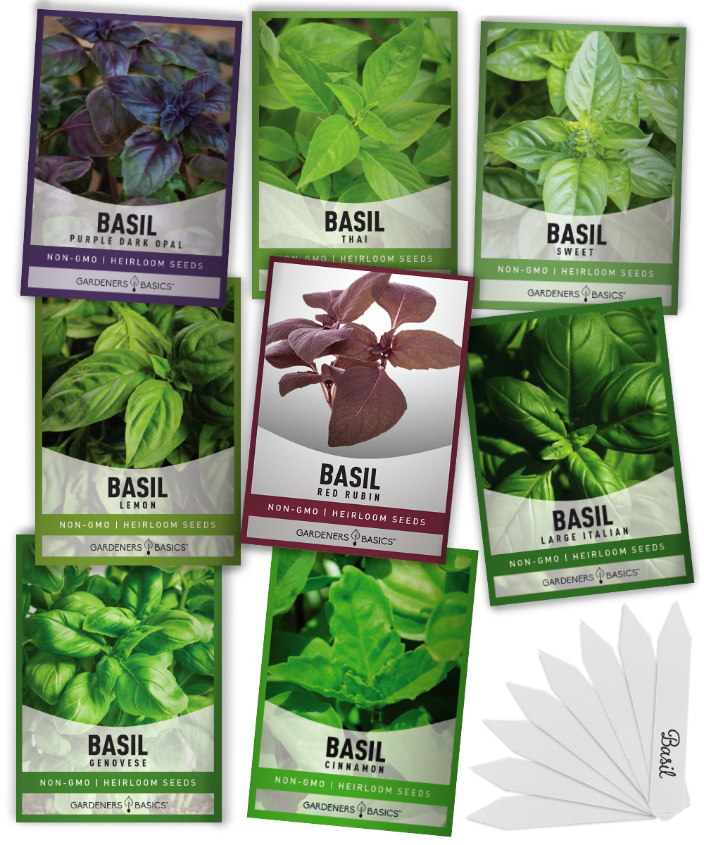 Grow Delicious Basil with Our 8 Variety Pack of Heirloom Basil Seeds ...