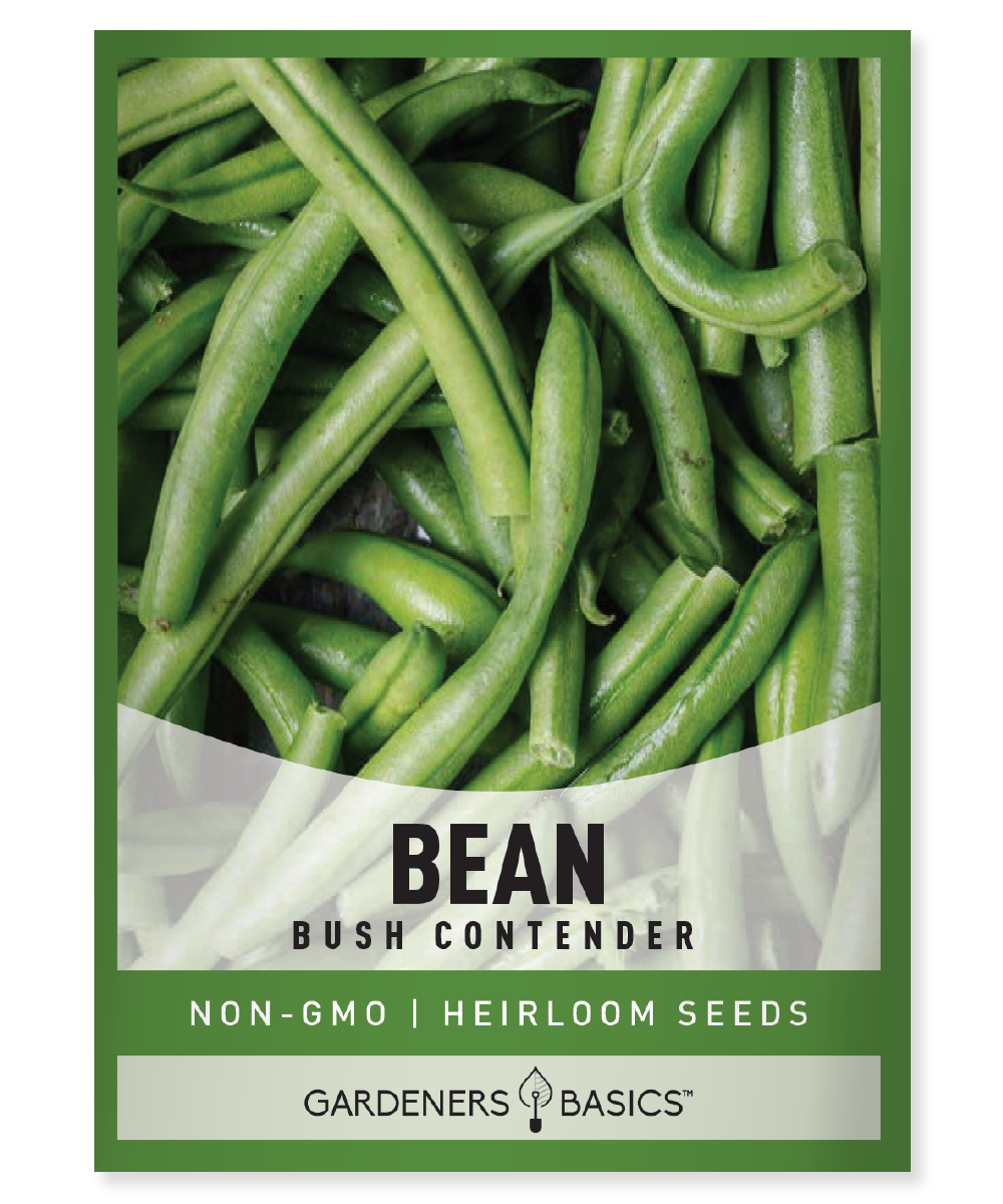 Bush Contender Bean Seeds: Fast-Growing & Delicious Green Beans ...