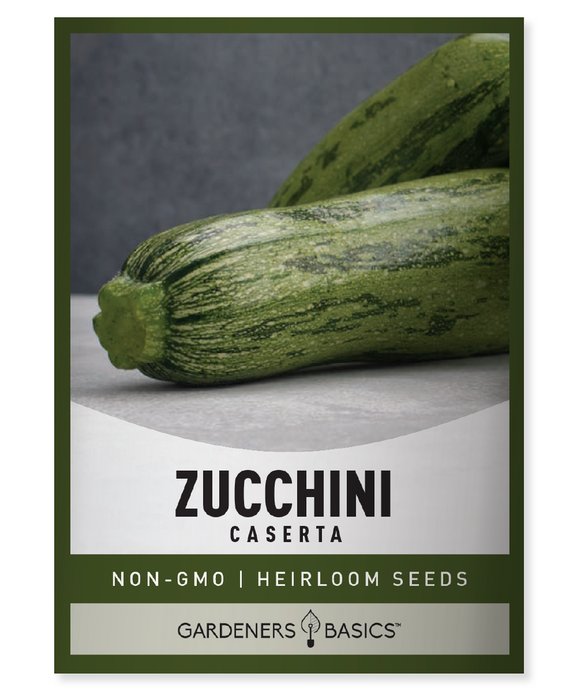Caserta Zucchini Seeds For Planting: Heirloom Variety for Your Garden ...