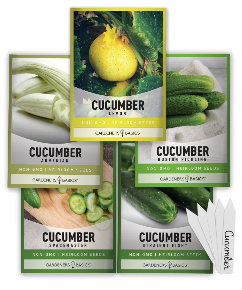 Cucumber Seed Assortment For Planting Grow the Perfect Cucumber Garden ...