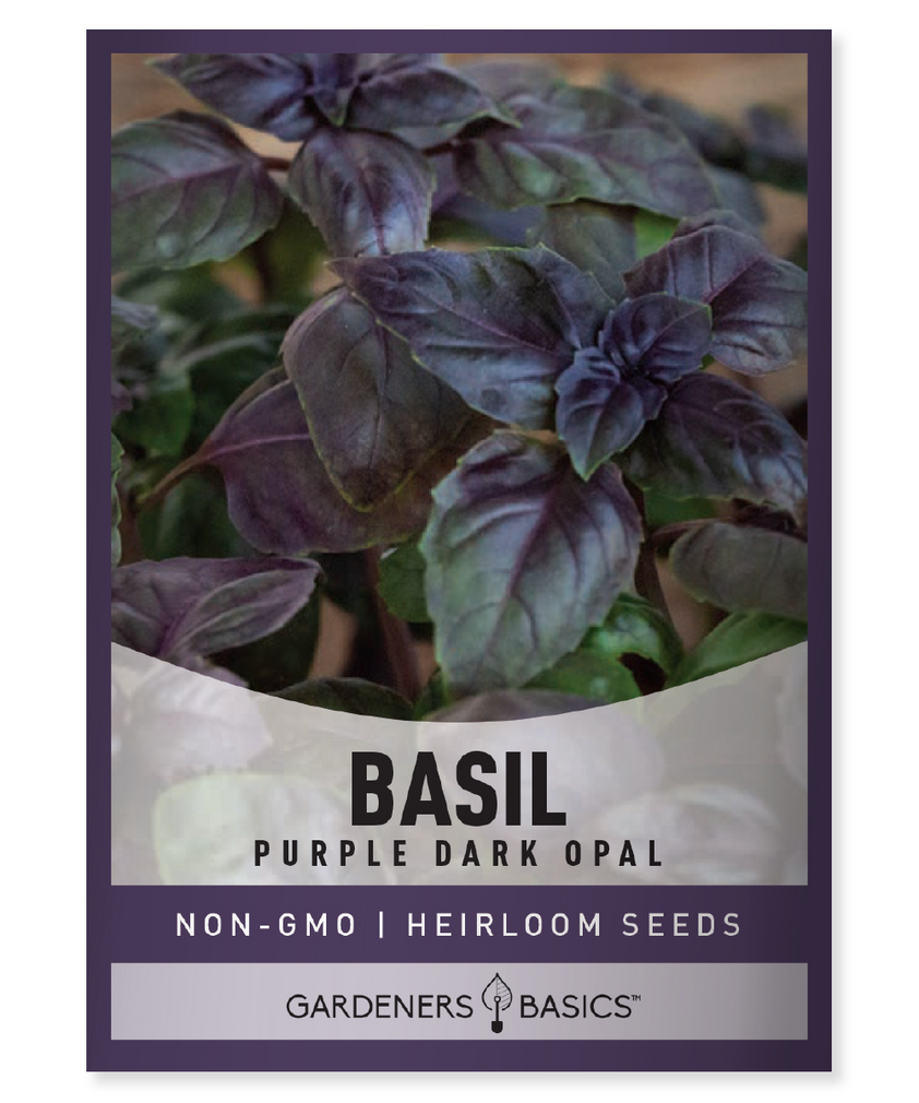 Dark Opal Basil Seeds – Gardeners Basics