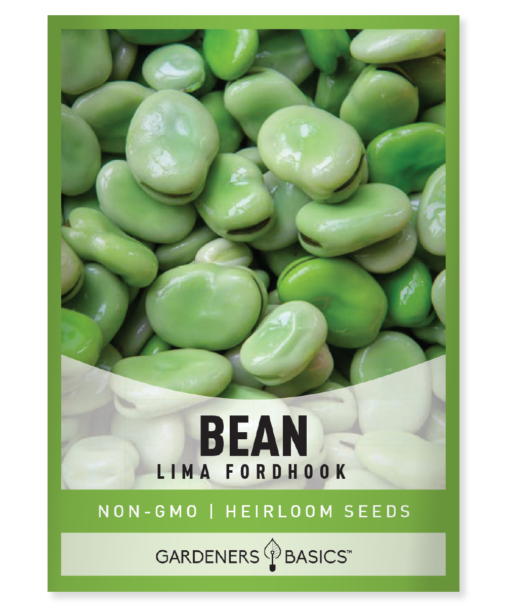 Fordhook Lima Bean Seeds: The Perfect Choice for Your Garden ...