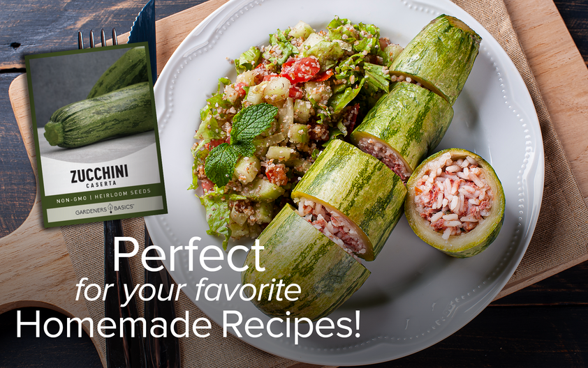 Caserta Zucchini Seeds For Planting: Heirloom Variety for Your Garden ...