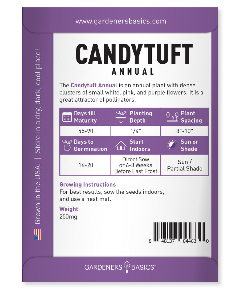 Annual Candytuft Flower Seeds For Planting - Vibrant and Fast-Growing – Gardeners Basics