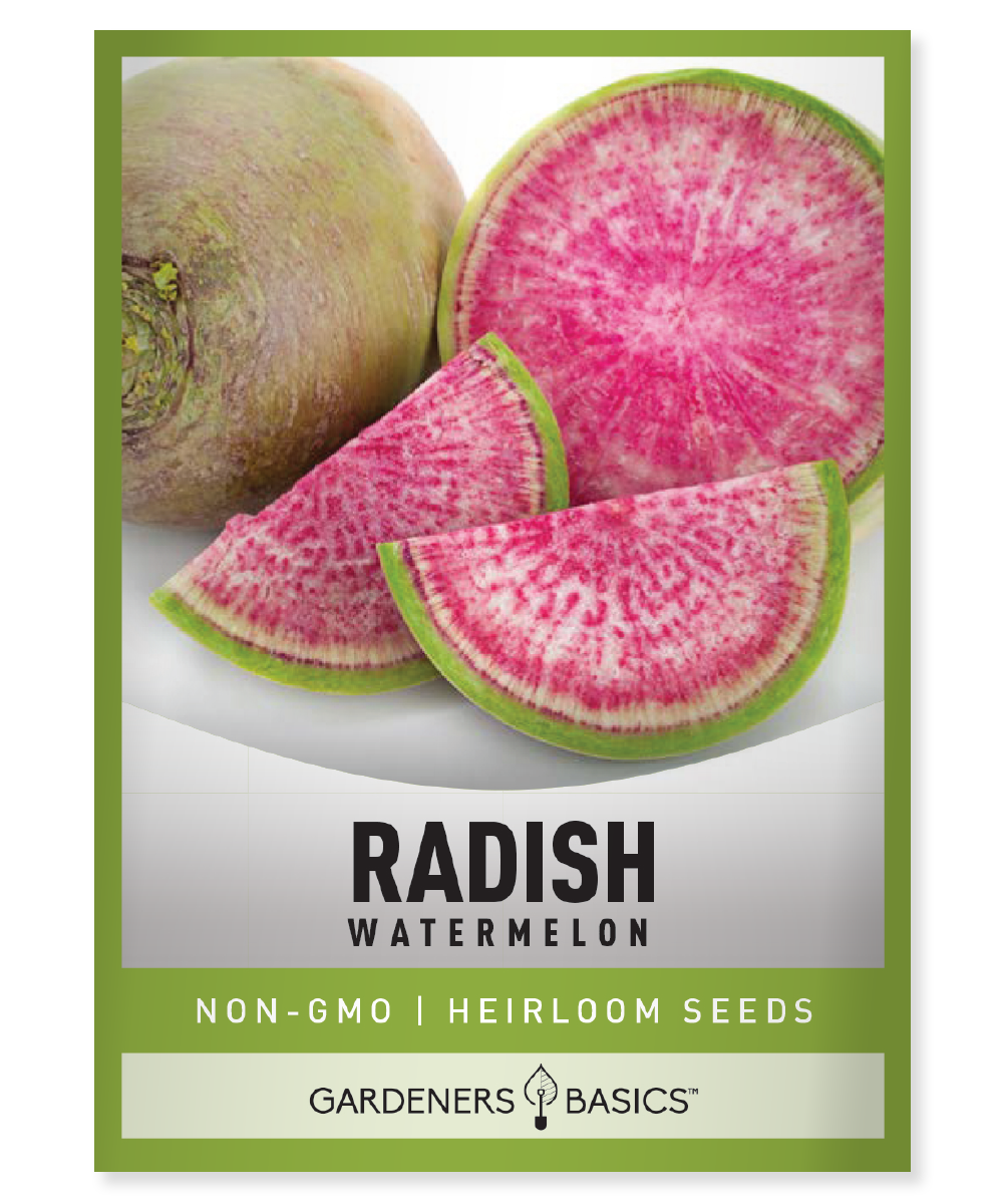 Buy Heirloom Watermelon Radish Seeds: Experience Unmatched Flavor ...