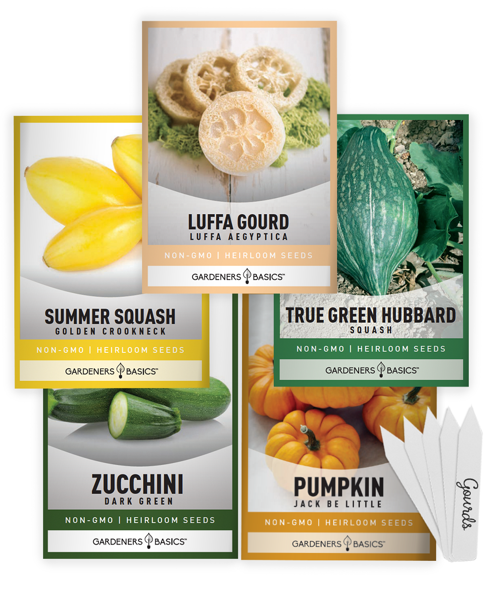 Grow Heirloom Gourds & Pumpkins: 5 Variety Pack of Non-GMO Seeds ...