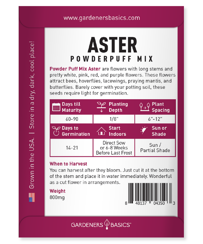 Powder Puff China Aster Seed For Sale Buy Online From Gardeners Basics