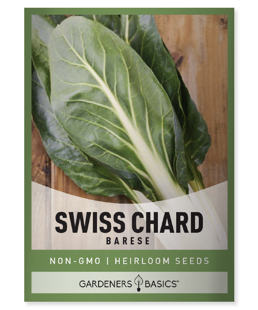 Barese Swiss Chard Seeds: The Ultimate Choice for Home Gardeners ...
