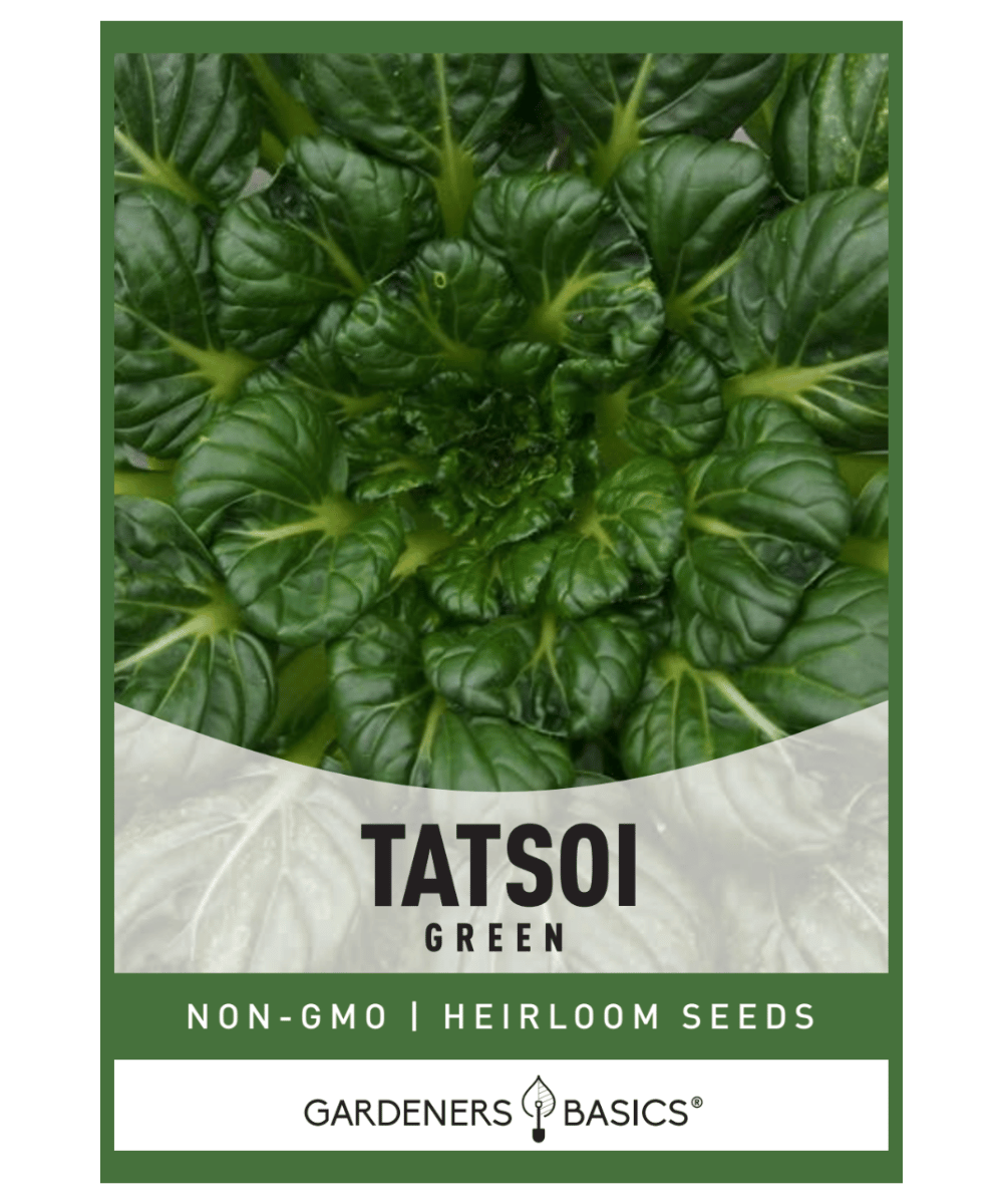 Tatsoi Seeds For Planting: Grow Delicious Asian Greens in Your Garden ...