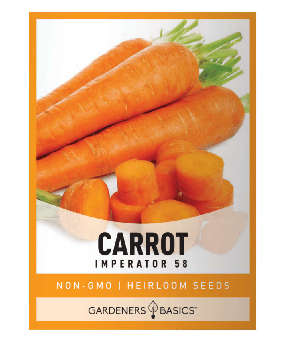 Imperator 58 Carrot Seeds For Planting: Add to Your Vegetable Garden ...