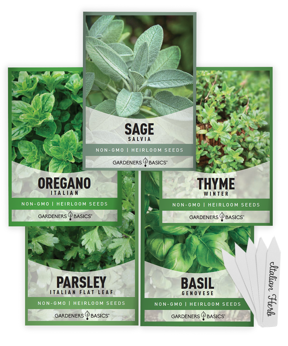 Grow Authentic Italian Flavors - 5 Italian Herb Seeds Variety Pack ...