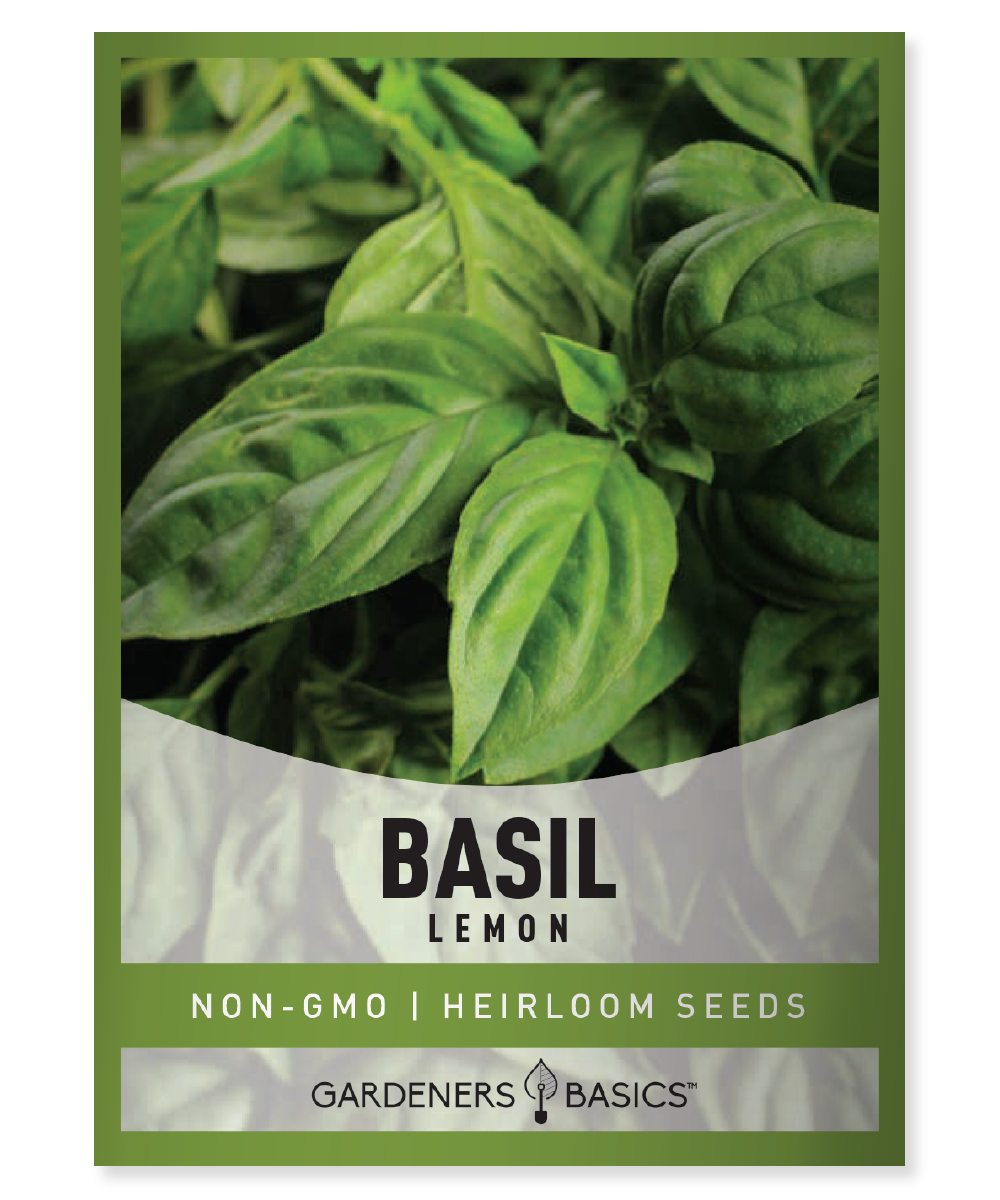 Lemon Basil Seeds – Gardeners Basics