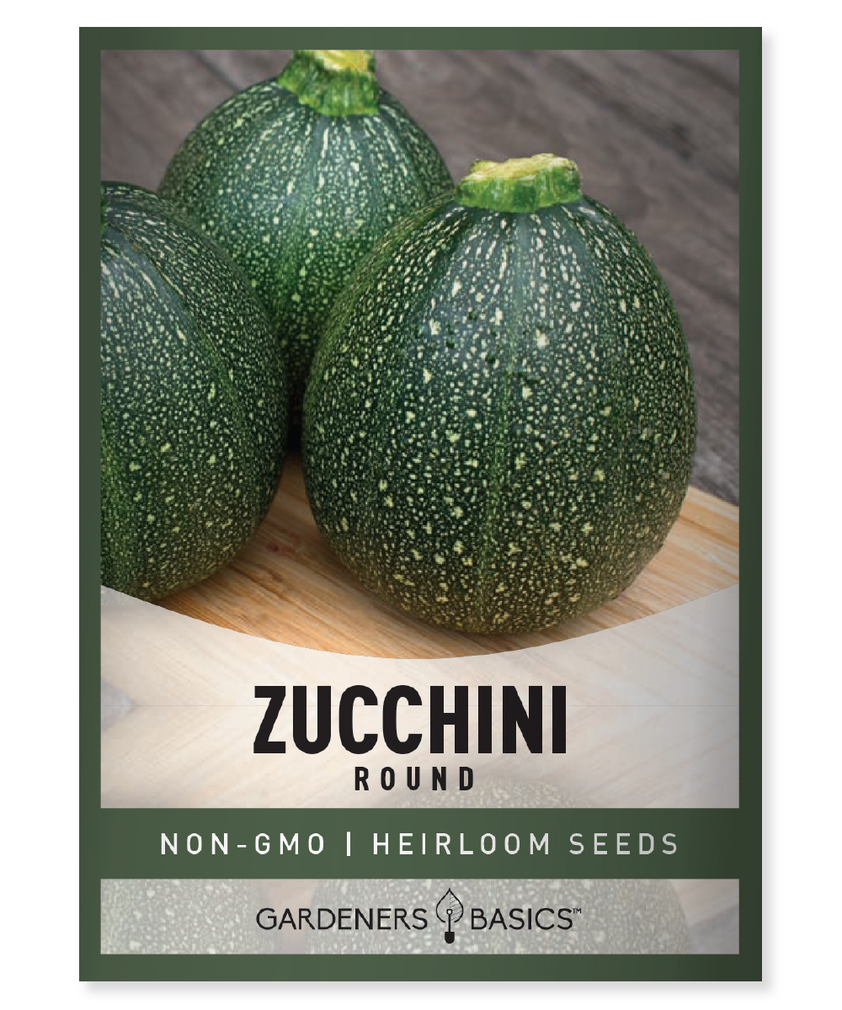 Round Zucchini Seeds For Planting Grow Delicious Nutritious Vegetables ...