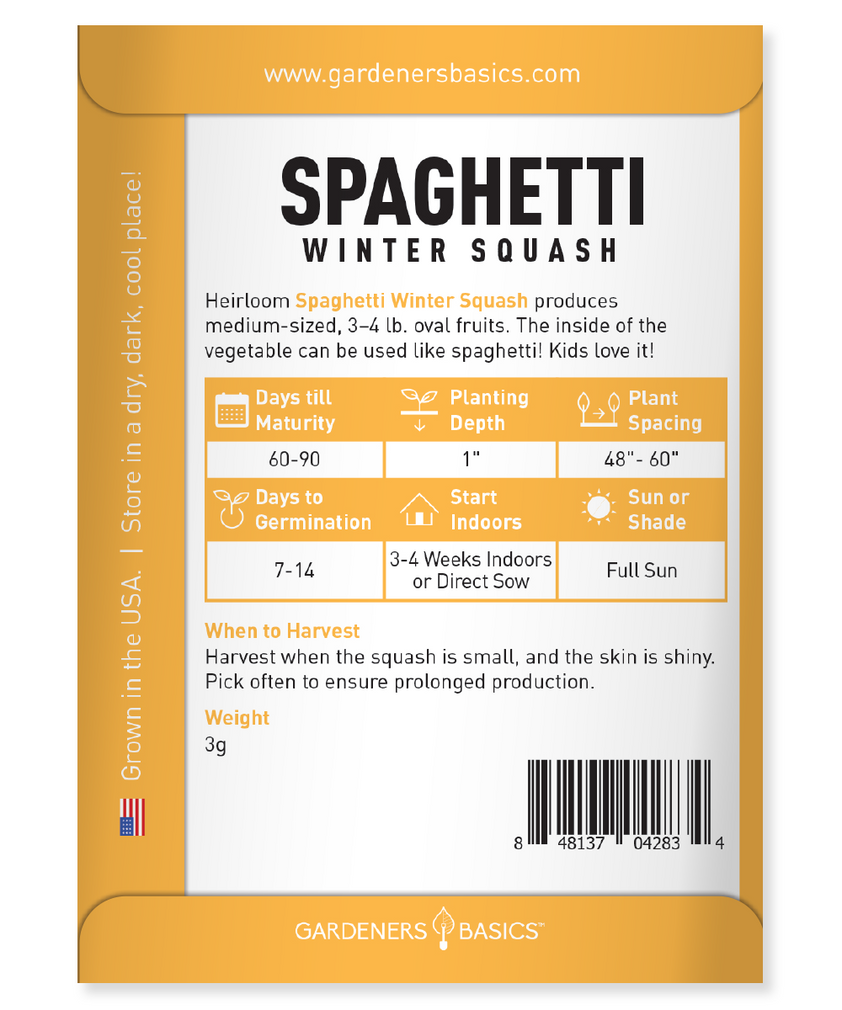 Spaghetti Squash Seeds For Planting Grow Your Own Nutritious Vegetable ...
